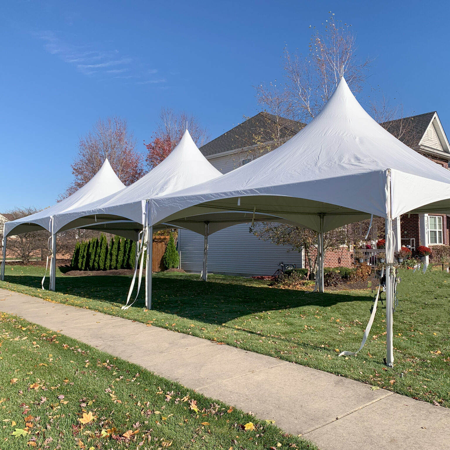 100 Person Wedding Package - Wedding Party Package for Rent